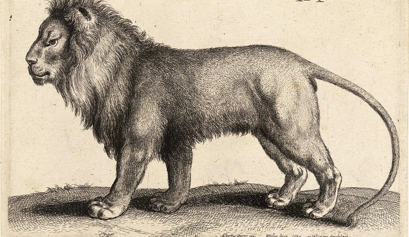 О христианской сказке - Православный журнал «Фома»